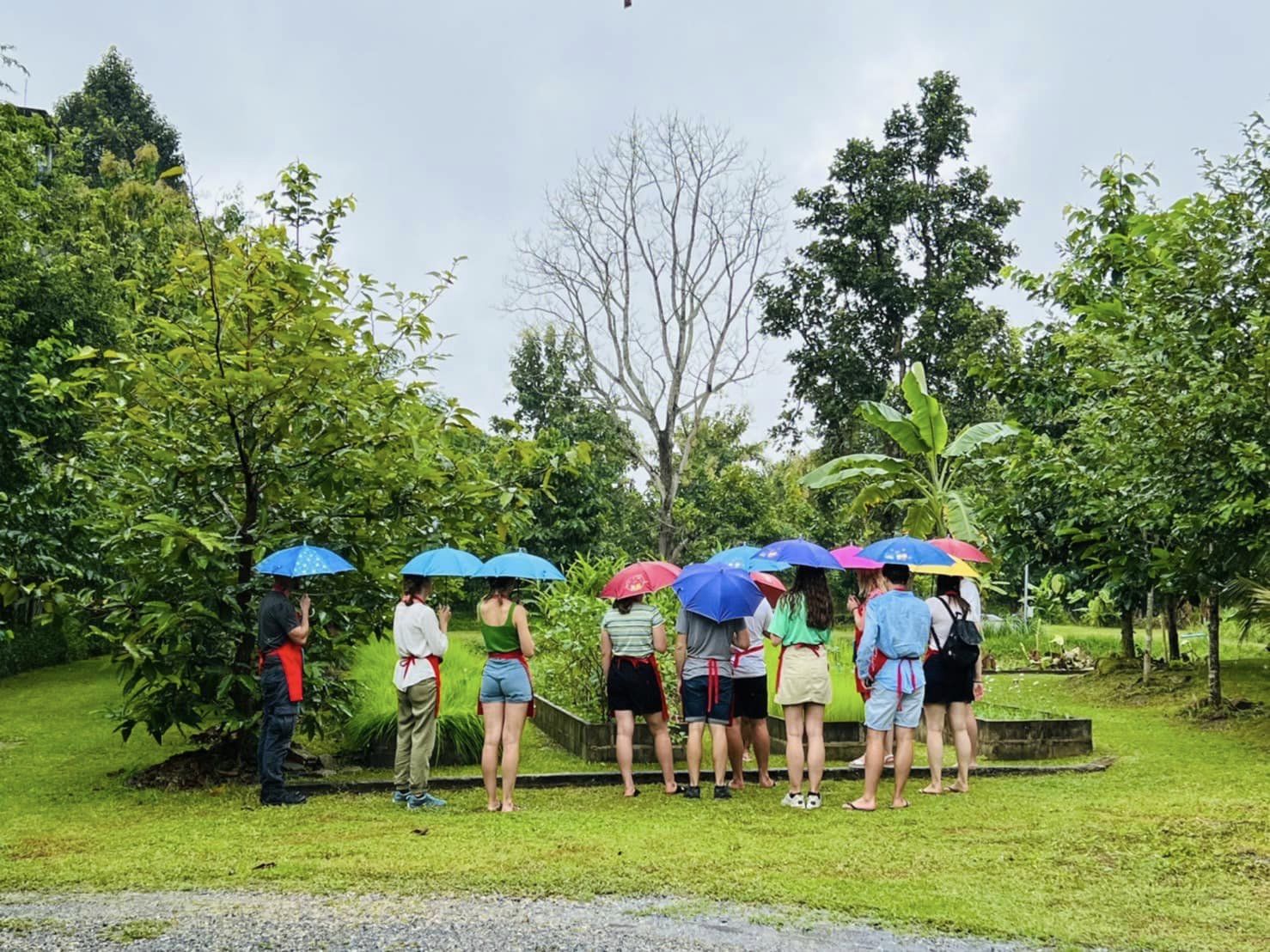 Rain Or No Rain, Thai Farm Cooking School Is Always Open - The First ...