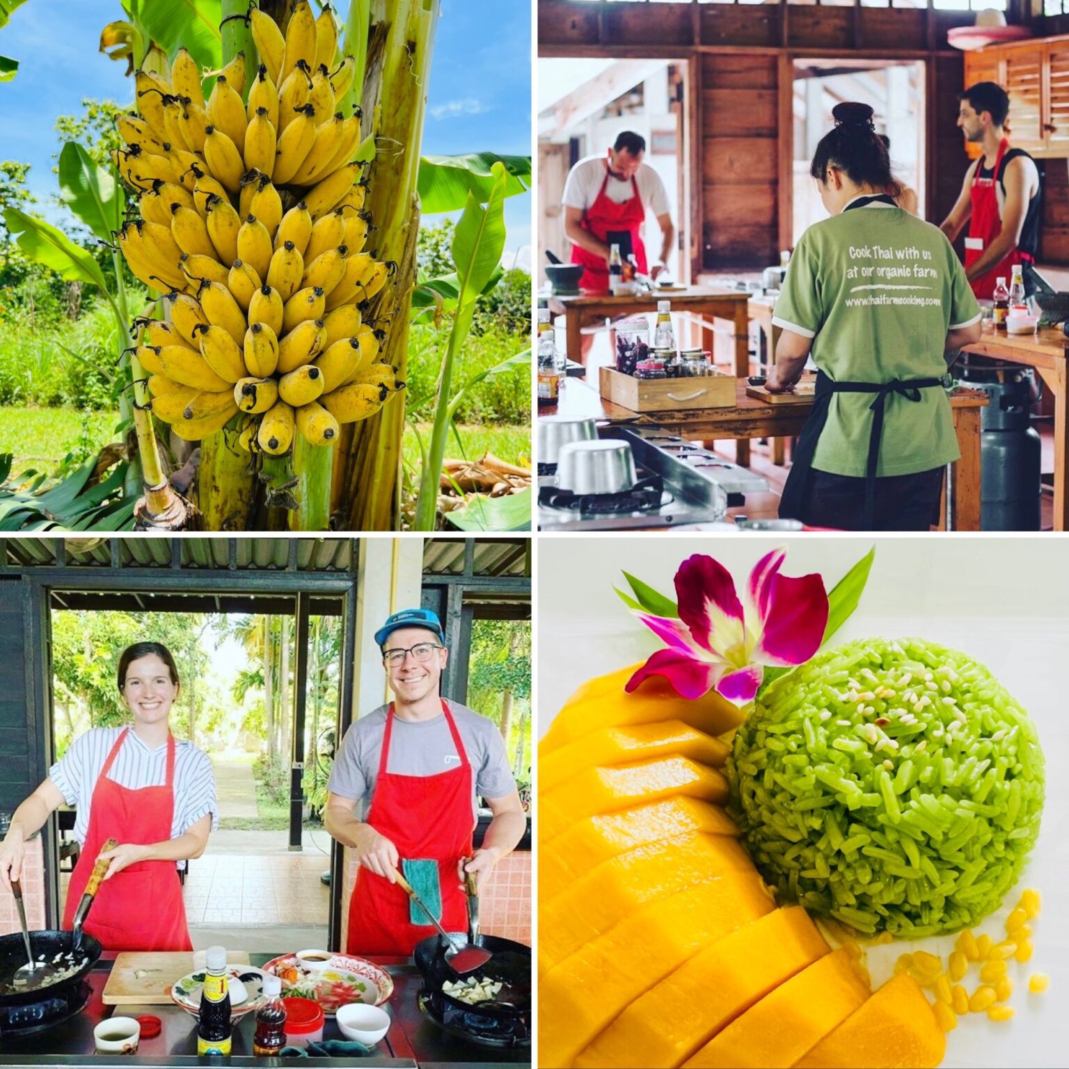 The First And Original Thai Cooking School At An Organic Farm Since ...