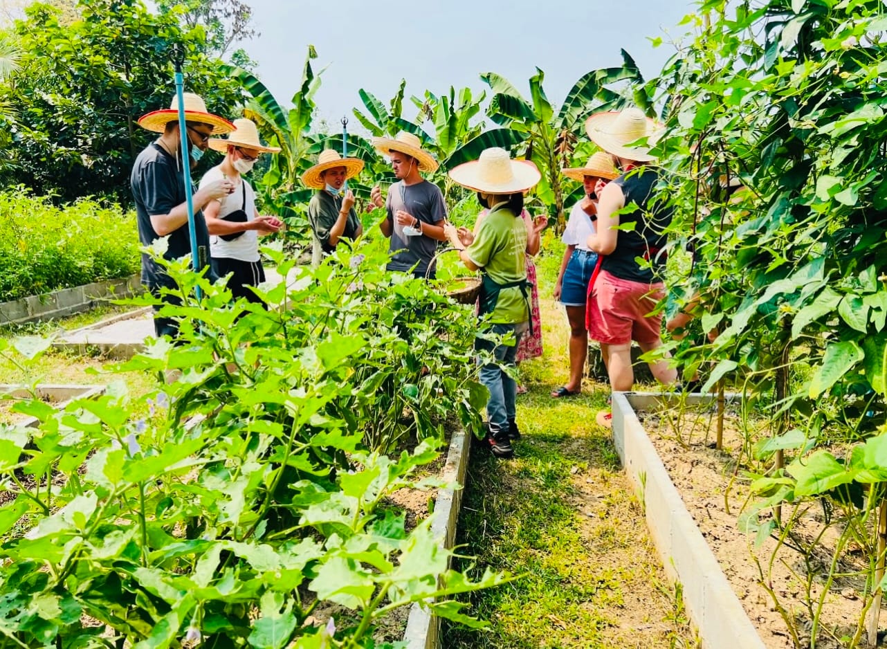 Thai Cooking Chiang Mai: A Culinary Adventure In Northern Thailand ...