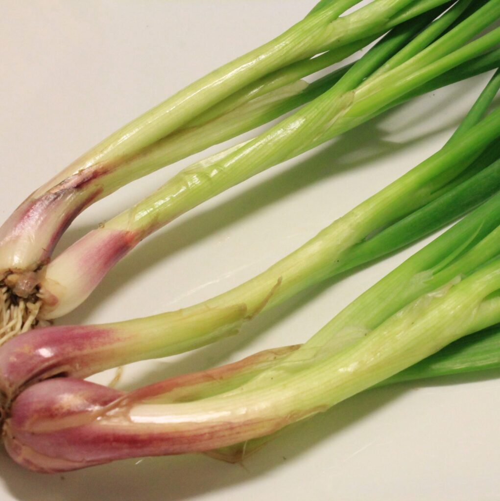 Spring Onion Ton Hom - Chiang Mai Thai Farm Cooking School
